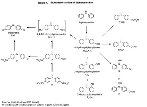 949 Diphenylamine Addendum Jmpr Evaluations 1998 Part Ii Toxicological