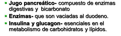 Sistema Digestivo En Bovinos