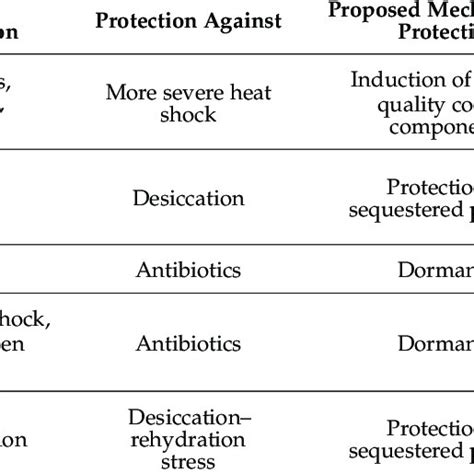 Protective Protein Aggregates See The Text For More Details