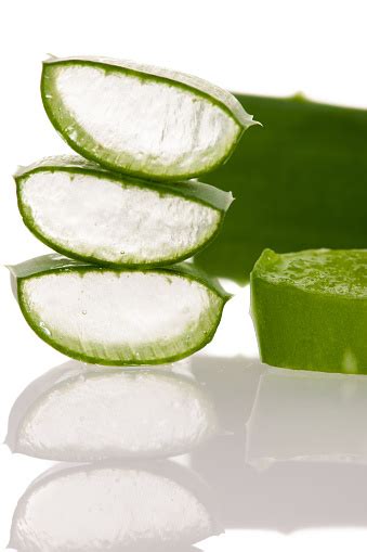 알로에 베라 초록색입니다 썬 신선한 Leafs 위의 흰색 배경 단독 0명에 대한 스톡 사진 및 기타 이미지 0명 가시 건강관리와 의술 Istock