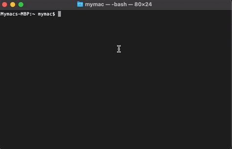 Understanding The Terminalcommand Line By Marco Rizzuto