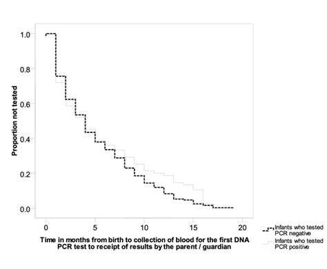 Time In Months From Birth To First Hiv Dna Pcr Test Among Hiv Exposed Download Scientific