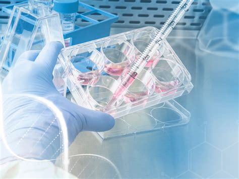 镁孚泰生物科技上海有限公司 酶改造定制化解决方案供应商