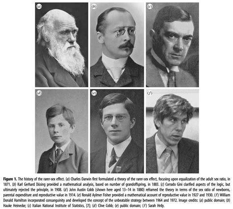 New Paper The Rarer Sex Effect Andy Gardner