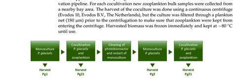 Overview Of Experimental Workflow Download Scientific Diagram