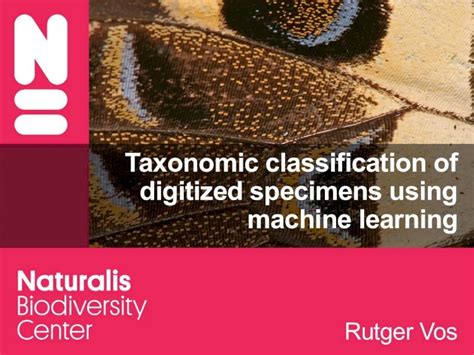 Pdf Taxonomic Classification Of Digitized Specimens Using Machine
