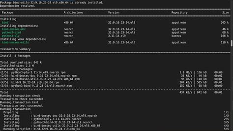Setting Up Local Dns Server On Centos 9 With Bind