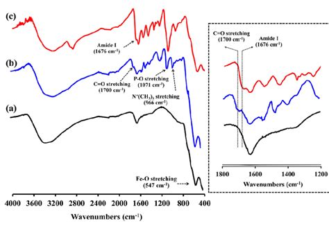Atr Ftir Spectra Of A Mnps B Pmampc Mnps And C Download Scientific Diagram