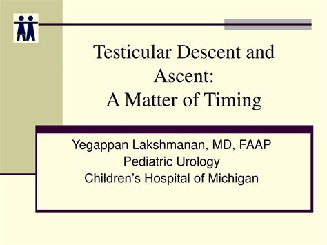 Ppt Testicular Descent And Ascent A Matter Of Timing Powerpoint Presentation Id 1407363