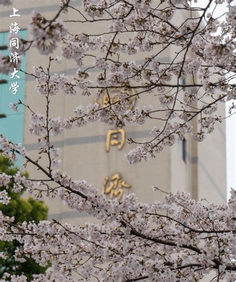 高校春色大比拼！大学里的春天不会让人失望 搜狐大视野 搜狐新闻