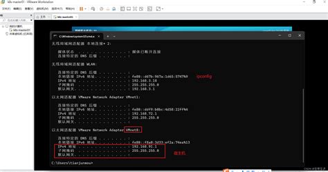 Vmware16 Pro 安装openeuler 2309 X8664，详细操作流程详图。虚拟机安装openeuler详细步骤 Csdn博客