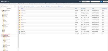 Easy Steps On How To Upload Your Website Using Cpanel Or Ftp