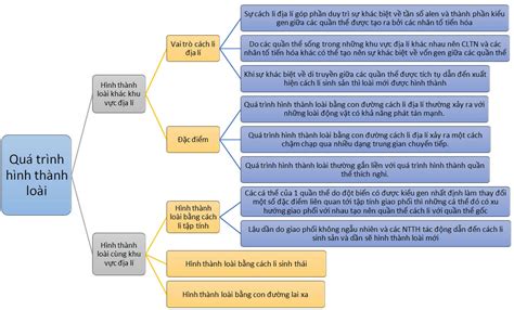 Sơ đồ Tư Duy Sinh Học 12 Bài 29 Quá Trình Hình Thành Loài