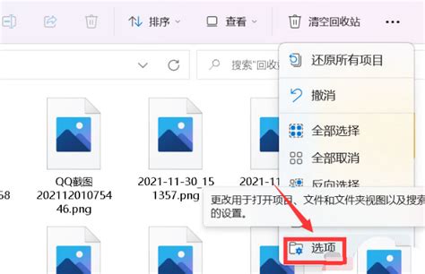 Windows11图片只显示图标怎么办Windows11打开图片略缩图显示教程 下载之家