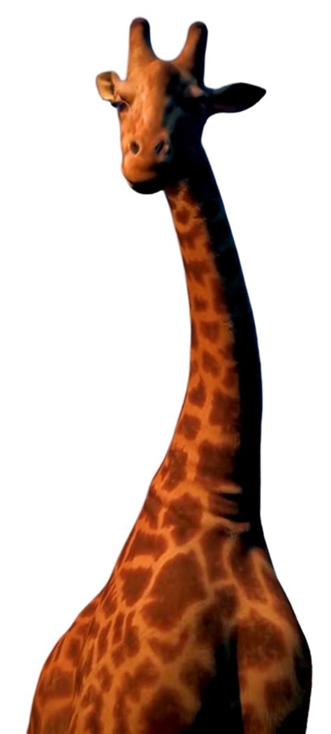 Giraffe By Kingofallkongs On Deviantart