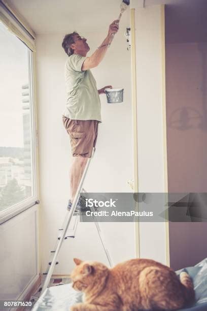 브러시와 신선한 페인트 양동이 수석 남자 생강 고양이 앞에 그림 그리기에 대한 스톡 사진 및 기타 이미지 그림 그리기 양동이 쥠 Istock