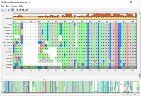 View And Align Multiple Sequences Matlab And Simulink