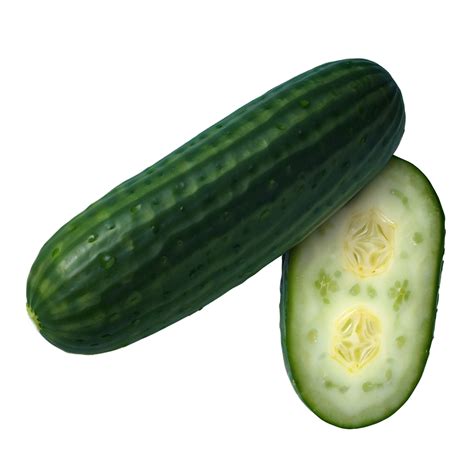 Download Cucumber Skin Texture Png 96