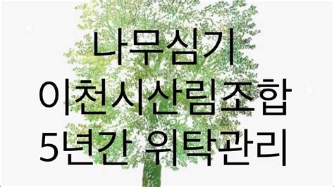 나무벌목 작업은 끝났다 이제는 나무심기부터는 이천시산립조합에 5년간 위탁 관리까지 자작나무 백합나무 빨리 무럭무럭 자라렴