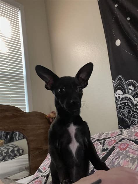 Introducing Boethiah Rskyrim