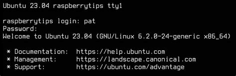how to increase font size in the linux terminal bonus tips