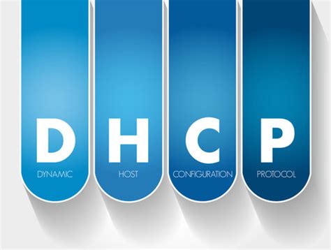 Servidor Ddns Dhcp
