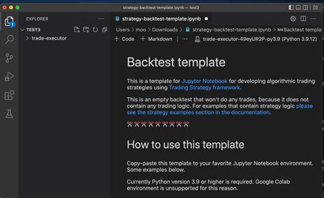 Visual Studio Code Development Trading Strategy Documentation