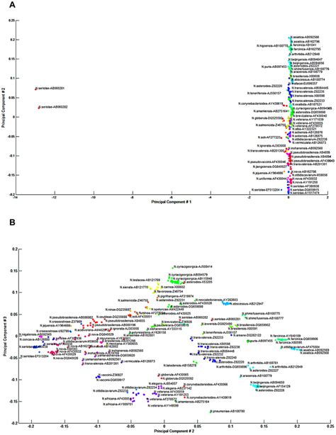 Principal Component Analysis Pca Clustering Using The Linear Mapping Download Scientific