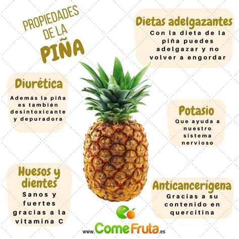 ¿los Perros Pueden Comer Piña