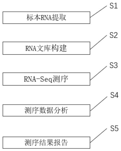 一种rna Seq测序技术检测未知病原体的方法与流程