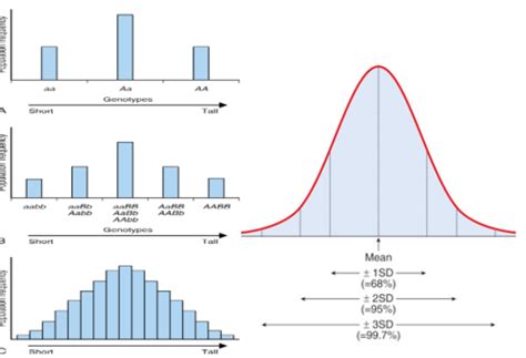 Multifactorial Inheritance Flashcards Quizlet