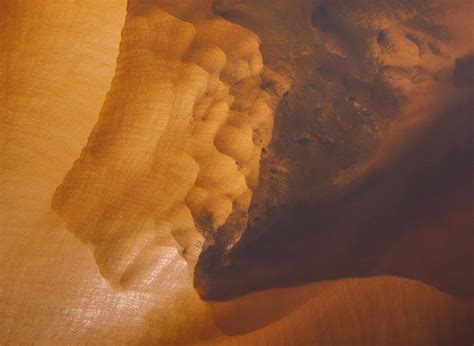 Calcineurin Inhibitors And Lupus Lupuscorner