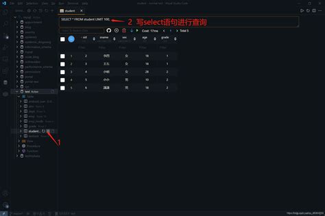 Mysql安装教程以及安装完后如何连接进vscode里进行使用mysql 安装 Csdn 配置 Vsc Csdn博客
