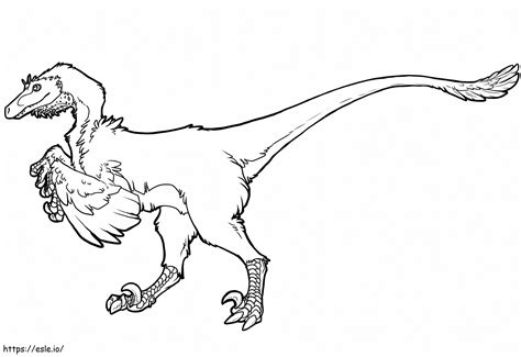 Dinosaurios Velociraptor Ausmalbilder Raptor Colorir Imprimir Dibujar