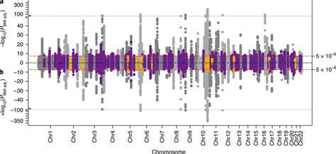 Manhattan Plots Of The Bined Bmi Unadjusted And Bmi Adjusted