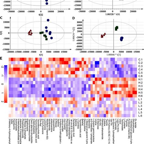 Metabolomic Multivariate Analysis A B Score Plots Of Pca And