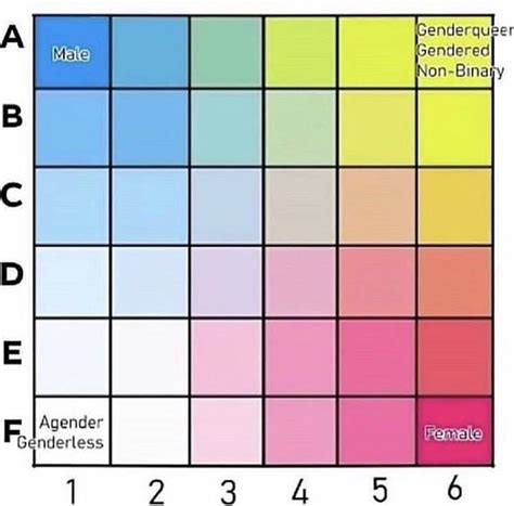 Gender Spectrum