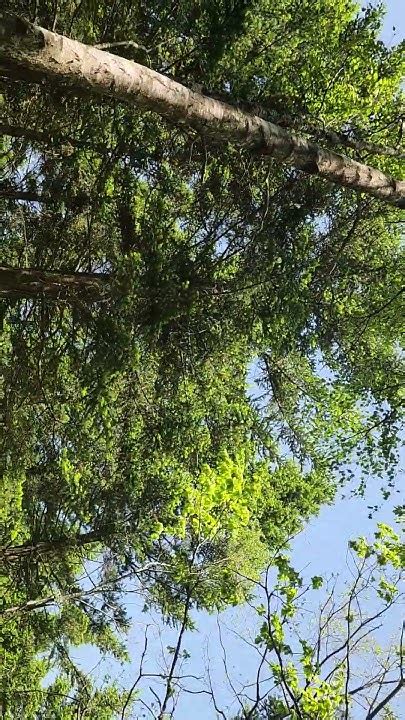 눈을 감고 들어요힐링 Youtube