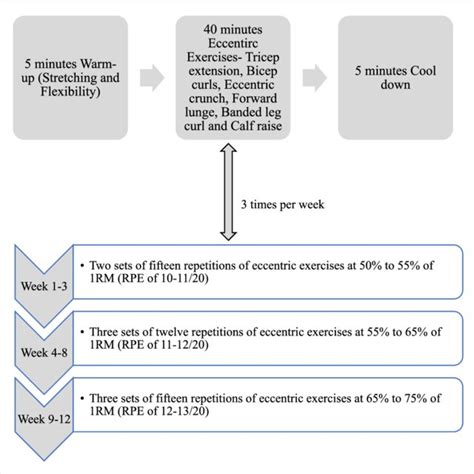 Eccentric Exercise Intervention Process Download Scientific Diagram