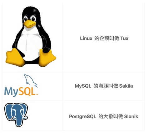 数据库 Postgresql 大象 Slonik 的历史 个人文章 Segmentfault 思否