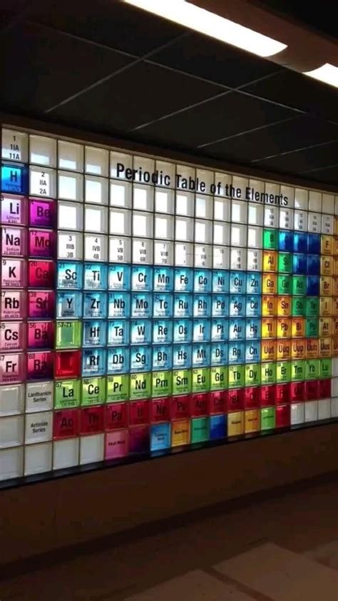 هر دختری که تجربی میخونه