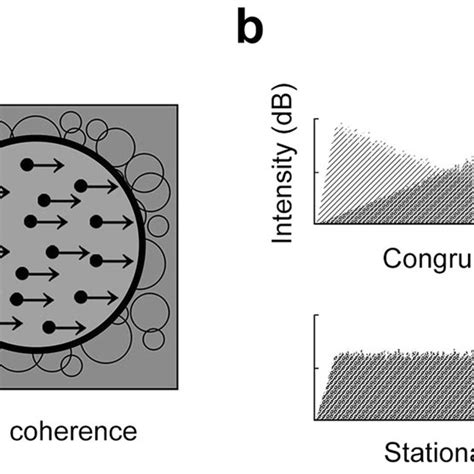 Schematic Representation Of The Visual And Auditory Stimuli Used During Download Scientific