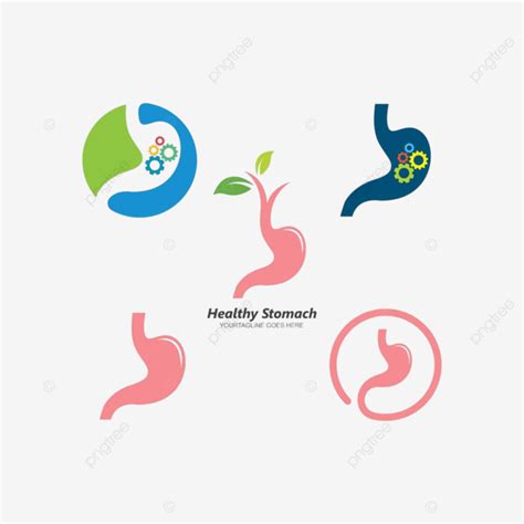 Stomach Icon Vector Illustration Design Internal Icon Digestion Vector Internal Icon