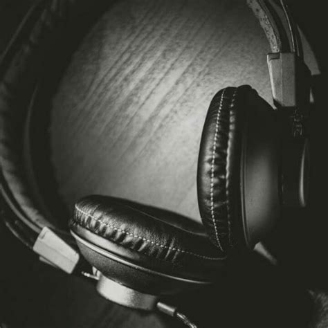 Learning Rat Youtube