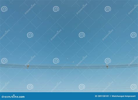 Cable Spacer Of Electrical System Stock Image Image Of High Cable 289158181