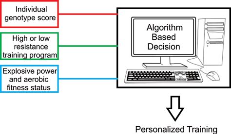 Genetic Based Algorithm For Personalized Training Download Scientific