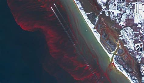 finding the red in the red tide fyfd