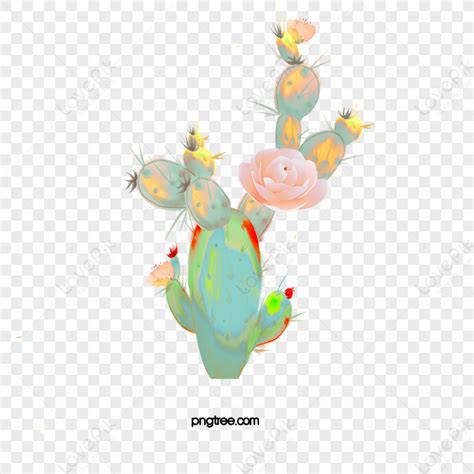 수채화 꽃 일러스트 선인장 식물꽃과 식물꽃들초록 Png 일러스트 무료 다운로드 Lovepik
