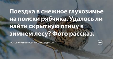 Поездка в снежное глухозимье на поиски рябчика Удалось ли найти скрытную птицу в зимнем лесу