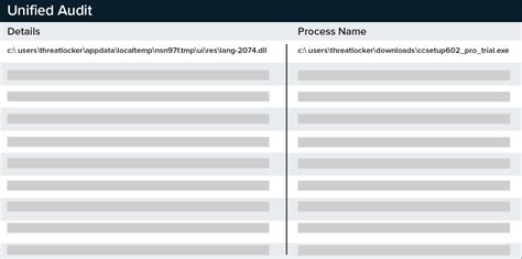 Unified Audit ThreatLocker Inc